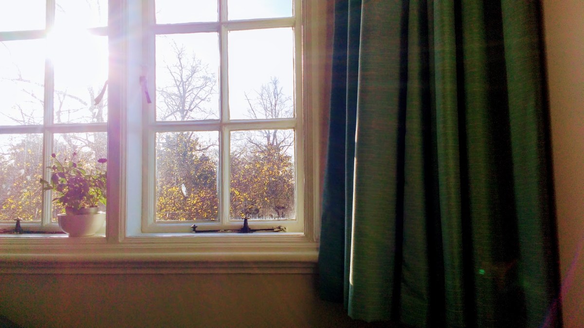 Multiplier – thejoyofrachel