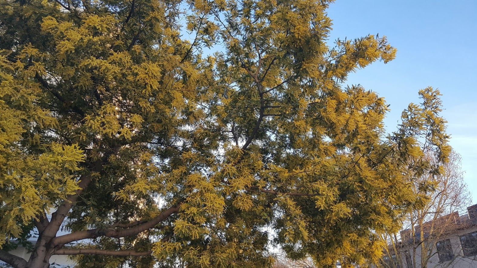 Re-crucifying Christ – thejoyofrachel